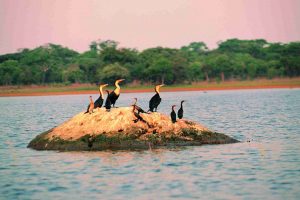 Chaminuka Home — Chaminuka Luxury Lodge
