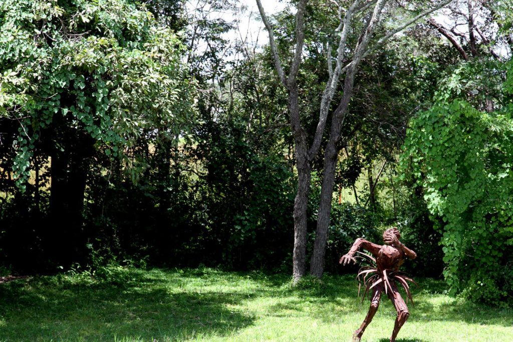 Chaminuka Home — Chaminuka Luxury Lodge