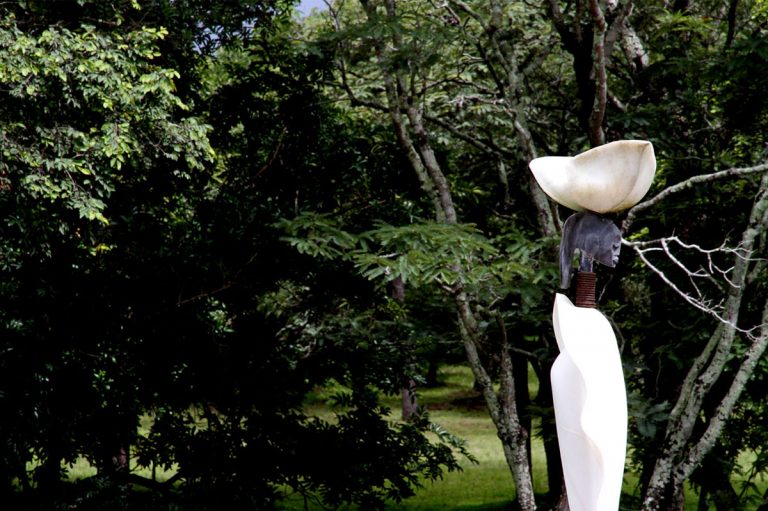 Chaminuka Home — Chaminuka Luxury Lodge